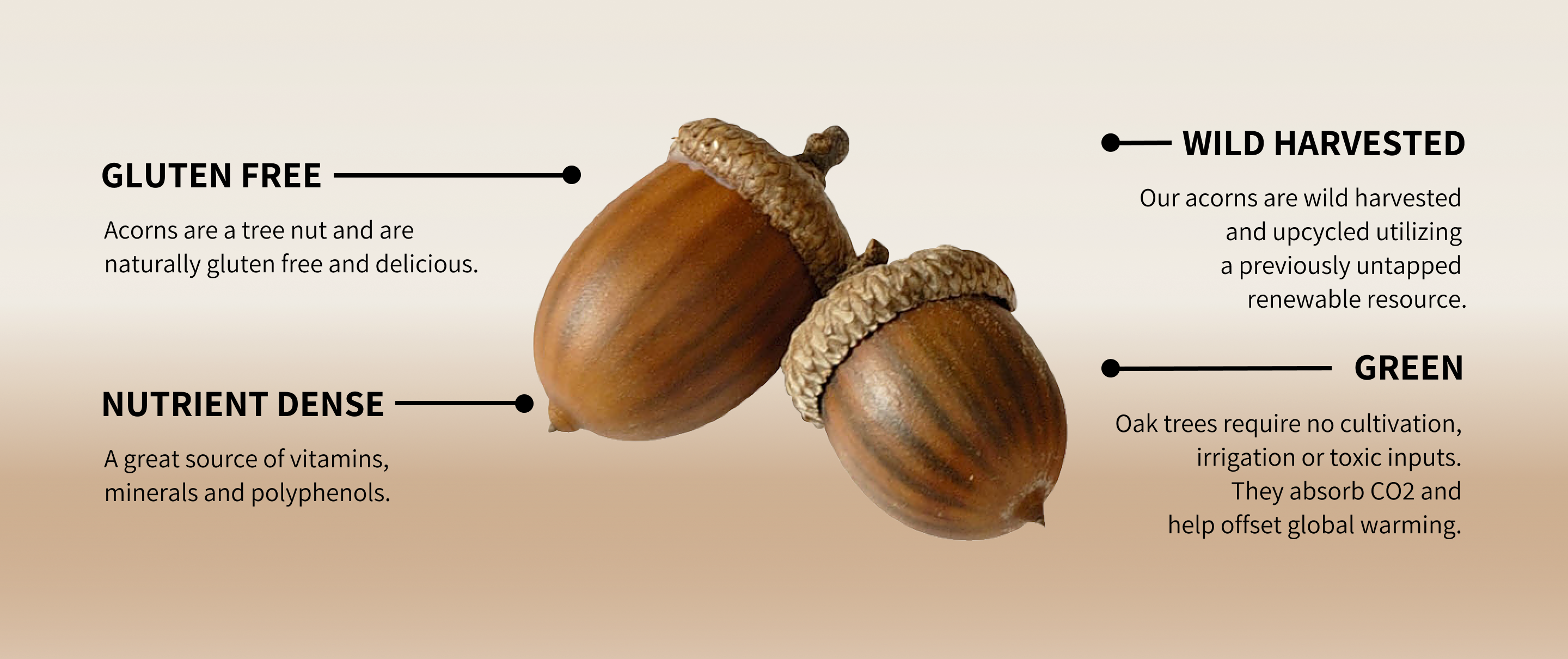 Folk Revival Homepage